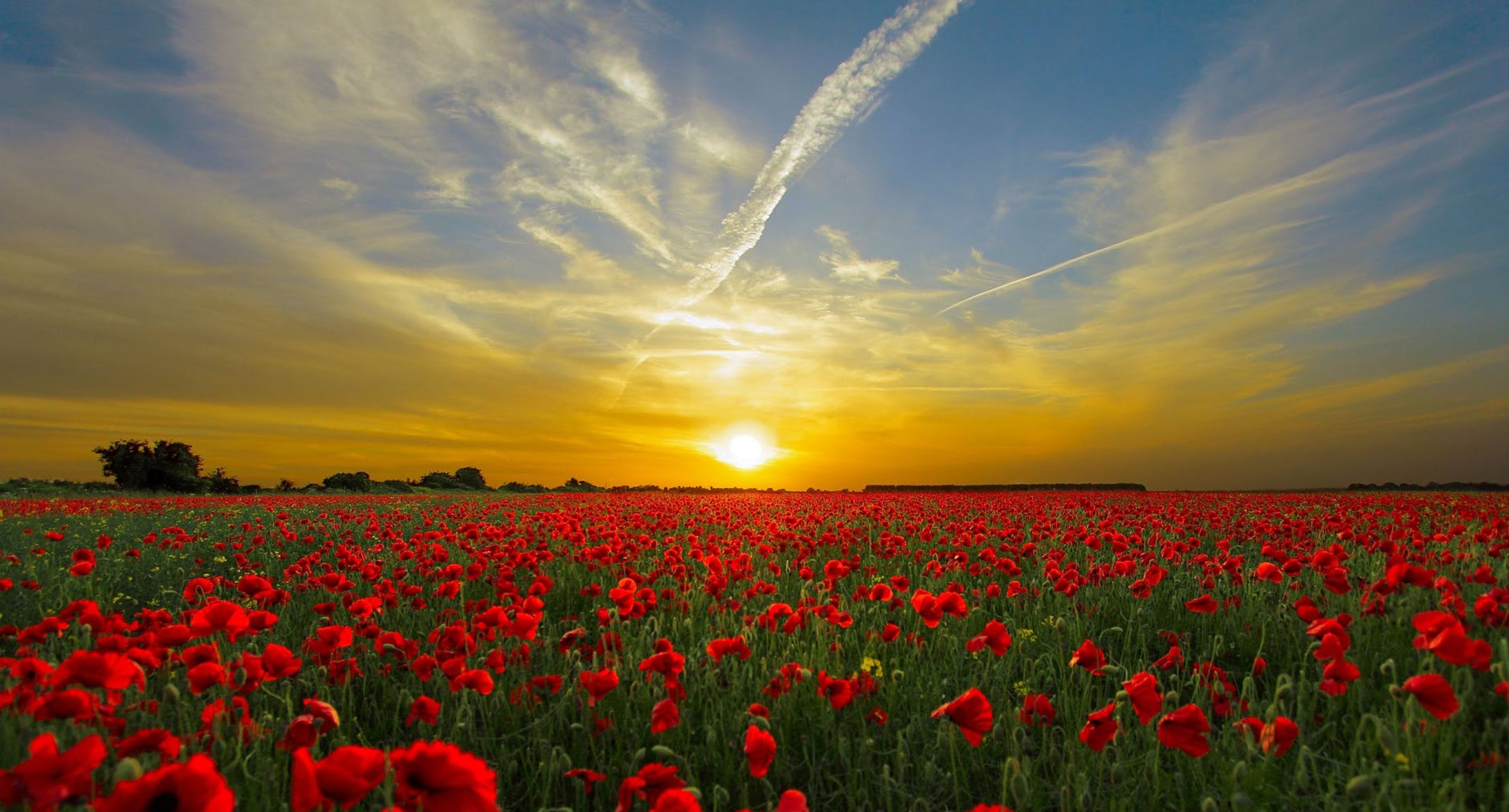 sunset sun horizon priroda – SRBC